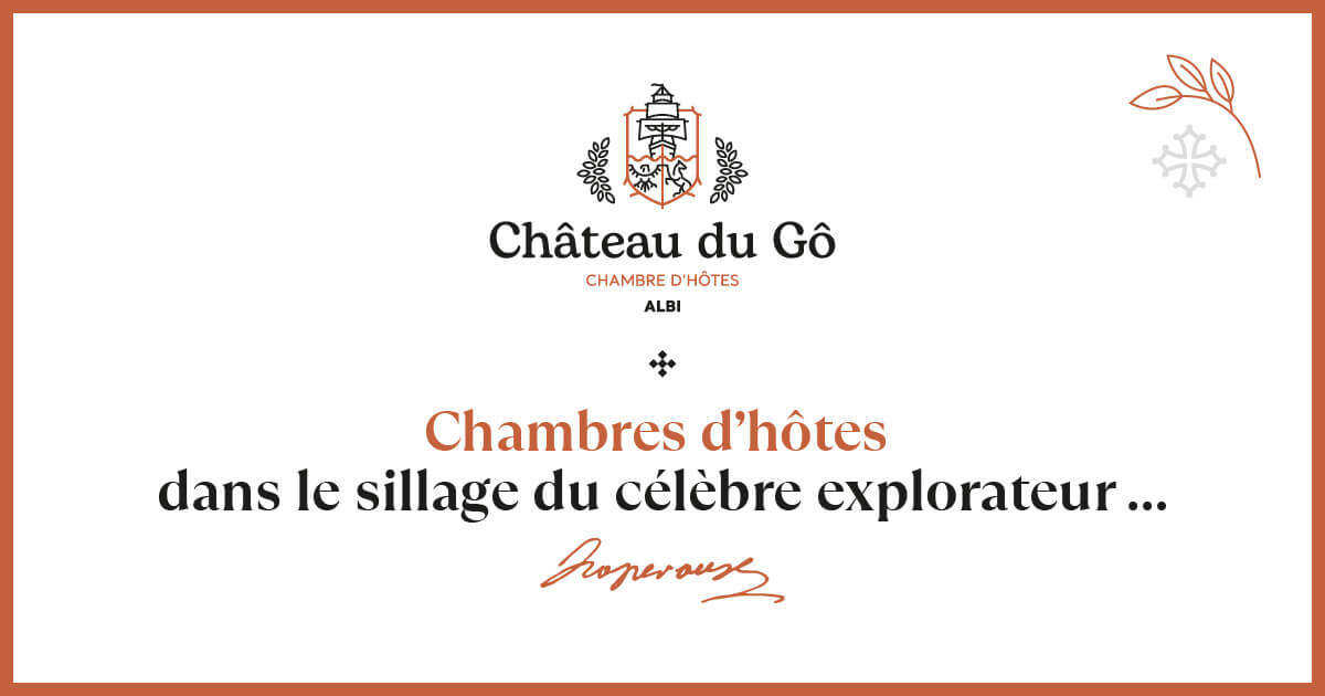 Château du Gô - Chambres d'hôtes à Albi